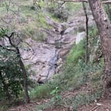 Mount Coot-tha Simpsons Falls Circuit, Queensland, Australia - 241 ...