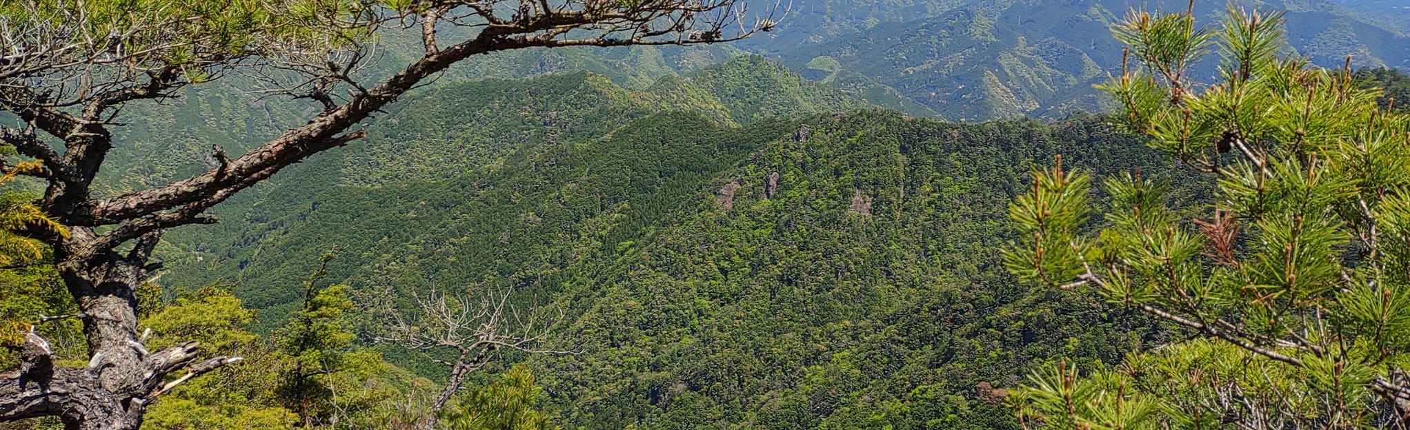 Tokai Shizen Hodou : Horaisan Parkway | Map, Guide - Aichi, Japan ...