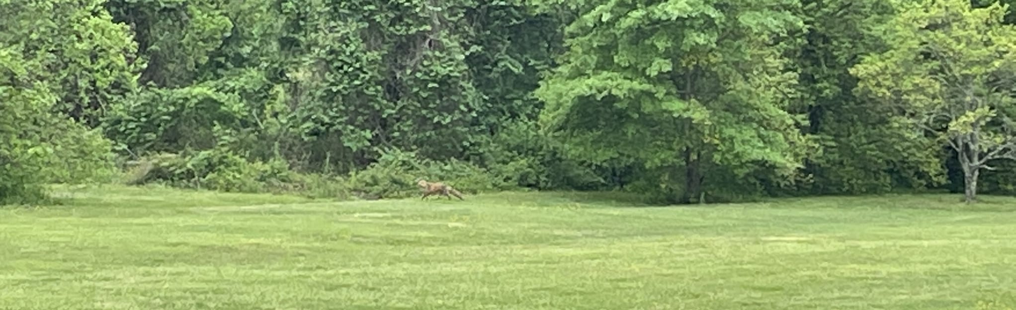 Fort Hunt Park Short Loop | Map, Guide - Virginia | AllTrails