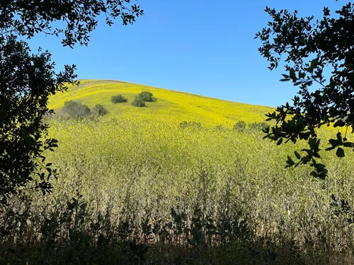 10 Best Trails and Hikes in Yorba Linda | AllTrails