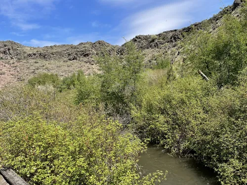 10 Best Trails and Hikes in Yakima | AllTrails