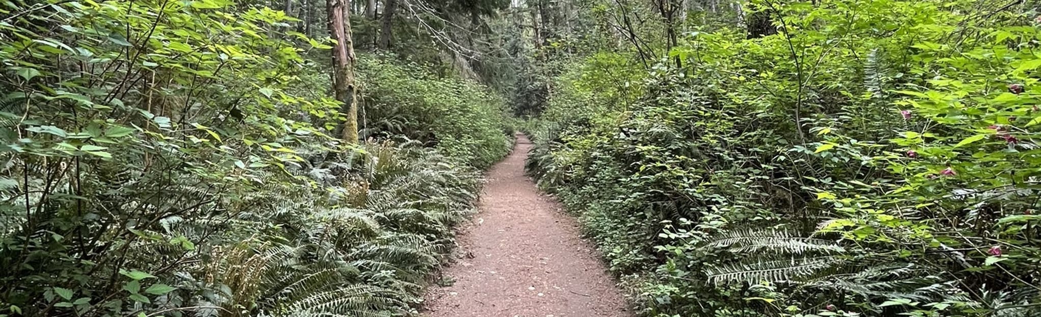 Trustland Trails Multi-use Trail Loop: 97 Fotos - Washington | AllTrails