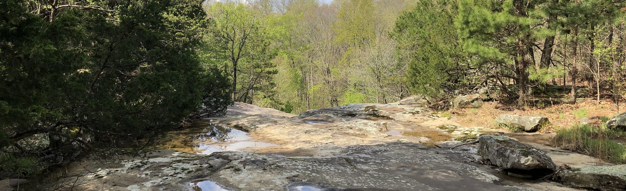 Jackson Hole Loop Trail, Illinois - 27 Reviews, Map | AllTrails