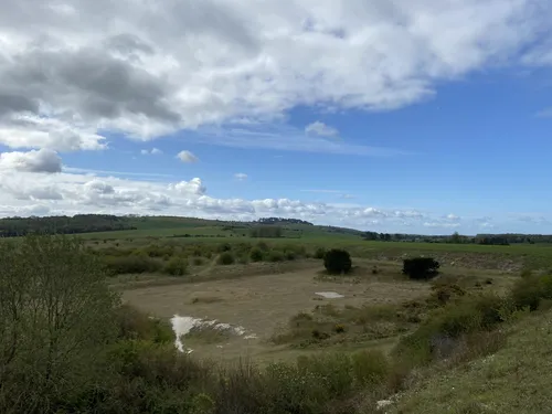 10 Best Hikes and Trails in Martin Down National Nature Reserve | AllTrails