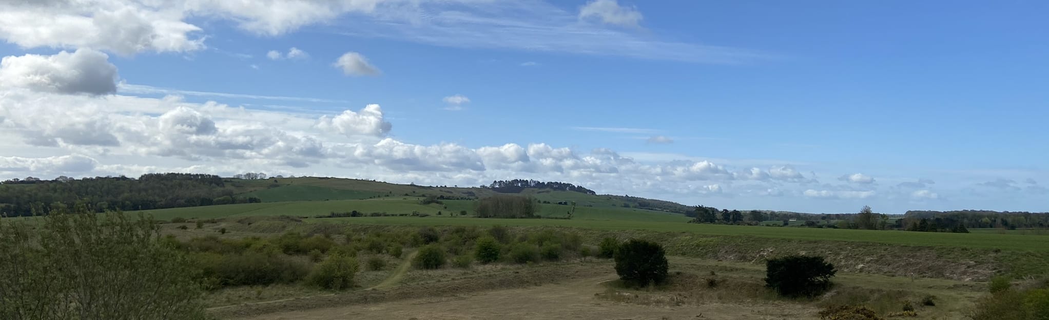 Martin Down and Vernditch Chase Circular, Hampshire, England - 5 ...