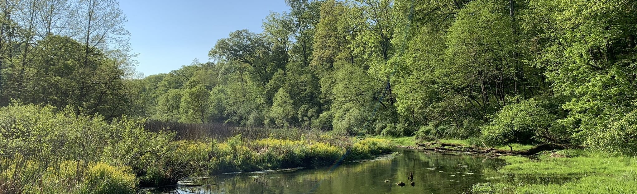 Third Winchester Battlefield Park: Red Bud Run Trail: 672 fotos ...