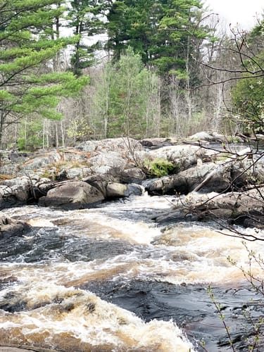 Best Hikes and Trails in Flambeau River State Forest | AllTrails