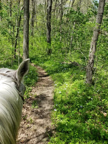 Best Hikes and Trails in Deer Ridge Conservation Area | AllTrails