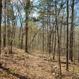 Bell Mountain Loop via the North Trailhead, Missouri - 112 Reviews, Map ...