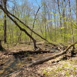 Bell Mountain Loop via the North Trailhead, Missouri - 112 Reviews, Map ...