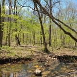 Bell Mountain Loop via the North Trailhead, Missouri - 112 Reviews, Map ...