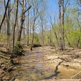 Bell Mountain Loop via the North Trailhead, Missouri - 112 Reviews, Map ...