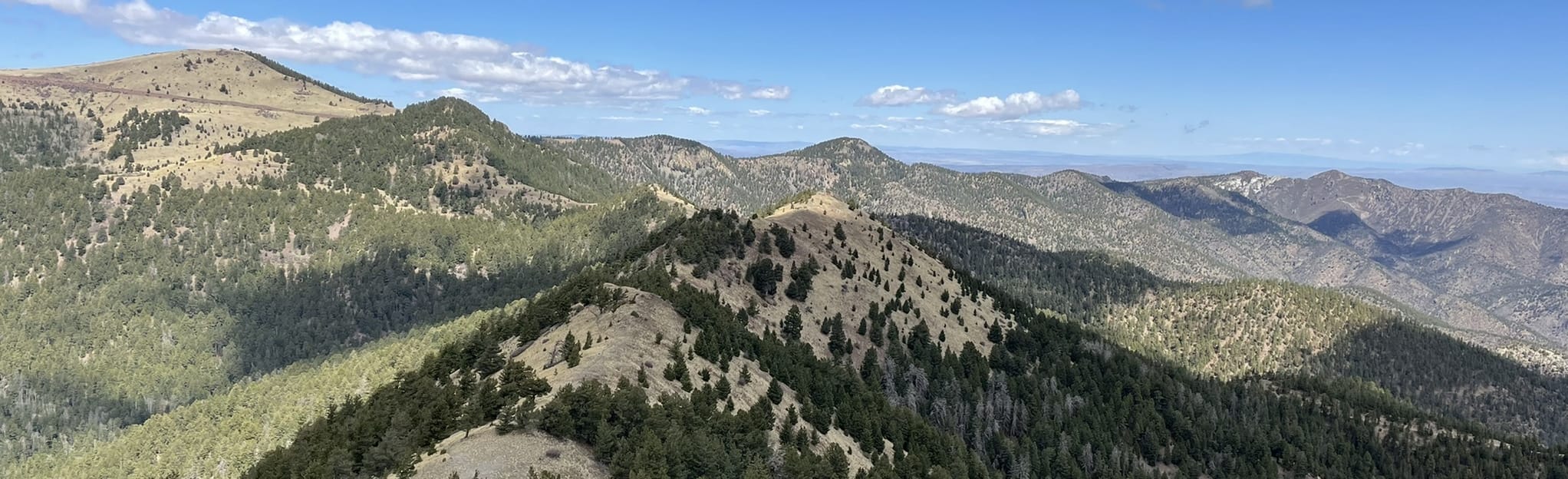 Timber Peak via South Baldy Trail #1 | Map, Guide - New Mexico | AllTrails