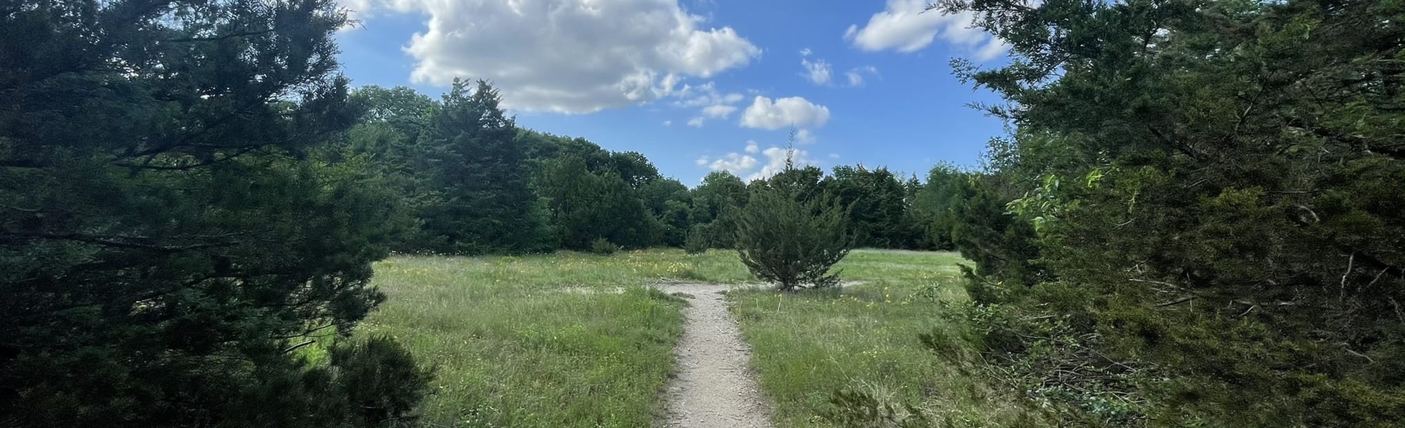 AllTrails | Oak Cliff White Loop: 329 Reviews, Map - Texas