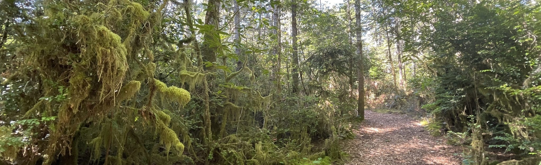 Cutler Wetlands Open Space Loop, Oregon - 91 Reviews, Map | AllTrails