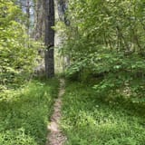 Secret Canyon Trail, Arizona - 152 Reviews, Map | AllTrails