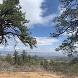 Stultz Trail, Colorado - 121 Reviews, Map | AllTrails