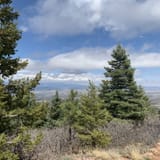 Stultz Trail, Colorado - 121 Reviews, Map | AllTrails