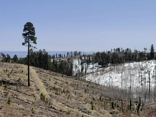 10 Best Trails and Hikes in Jacob Lake | AllTrails