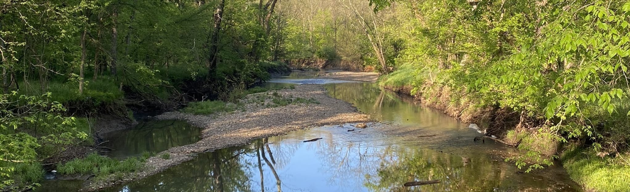 Spring Brook Trail Loop via Devil's Icebox Trail: 747 Reviews, Map ...