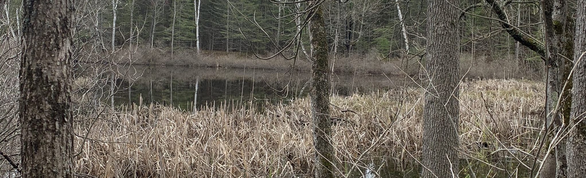 Thomas P Murray Perimetre - Portage Pond: 19 Reviews, Map - Ontario ...