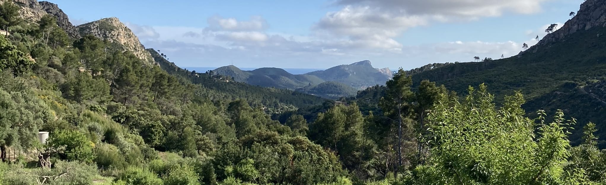 Camí de sa Font des Bosc: 3 Reviews, Map - Majorca, Spain | AllTrails