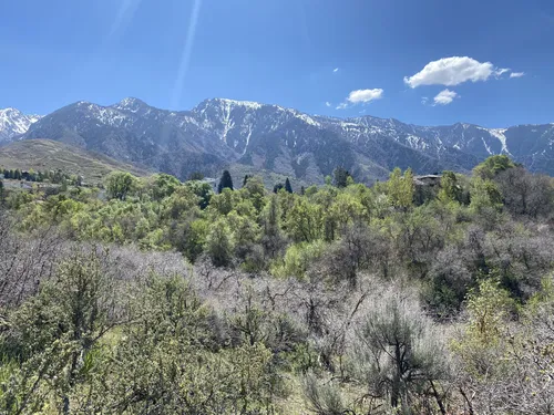 Dimple Dell Regional Park: de 10 beste routes om te wandelen | AllTrails