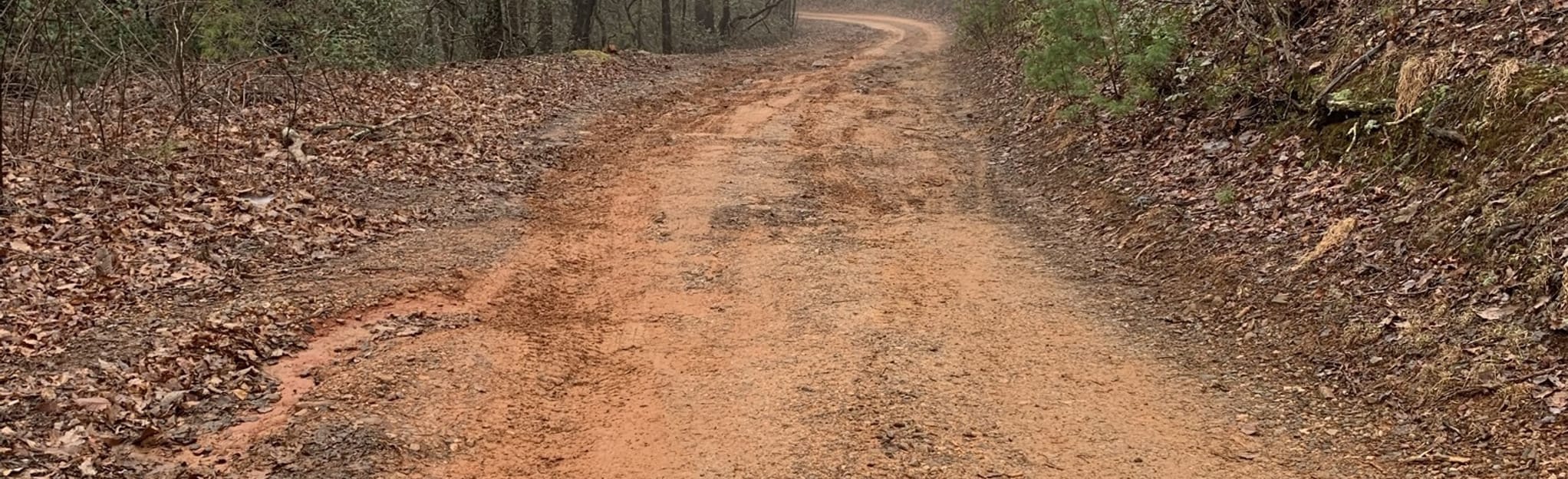 Horseshoe Ridge Road [CLOSED], Georgia - 214 Reviews, Map | AllTrails