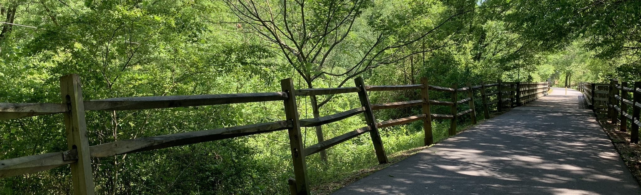 Doodle Trail, South Carolina - 469 Reviews, Map | AllTrails