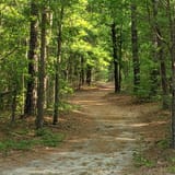 Hinson Lake, North Carolina - 72 Reviews, Map | AllTrails