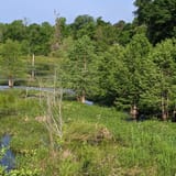 Hinson Lake, North Carolina - 72 Reviews, Map | AllTrails