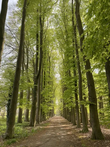 De 10 beste wandelroutes om te wandelen in Almen | AllTrails