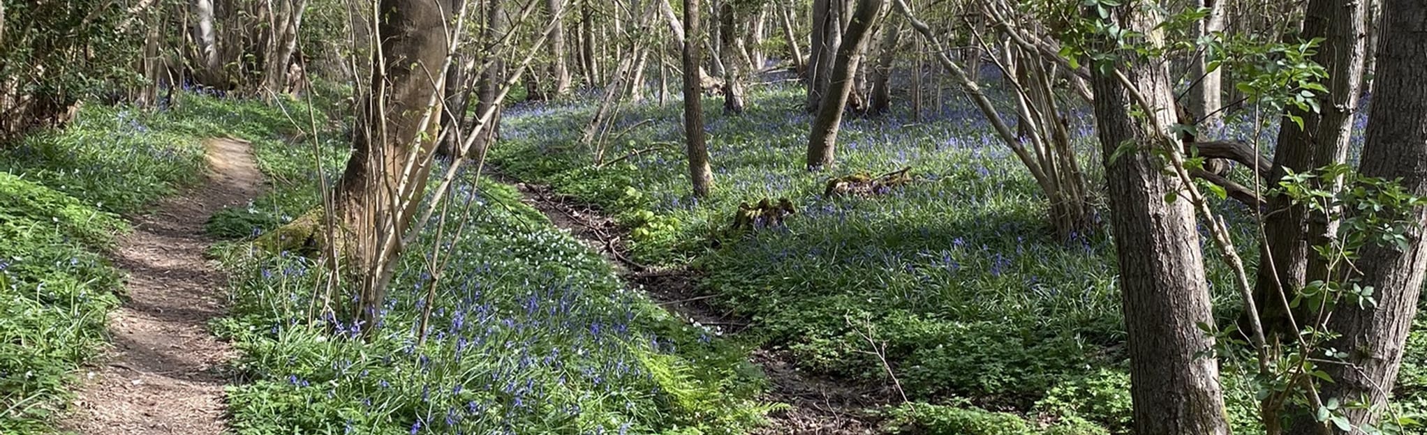 Guestling Green Circular - East Sussex, England | AllTrails