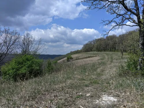 Best Hikes and Trails in Whitewater Wildlife Management Area | AllTrails