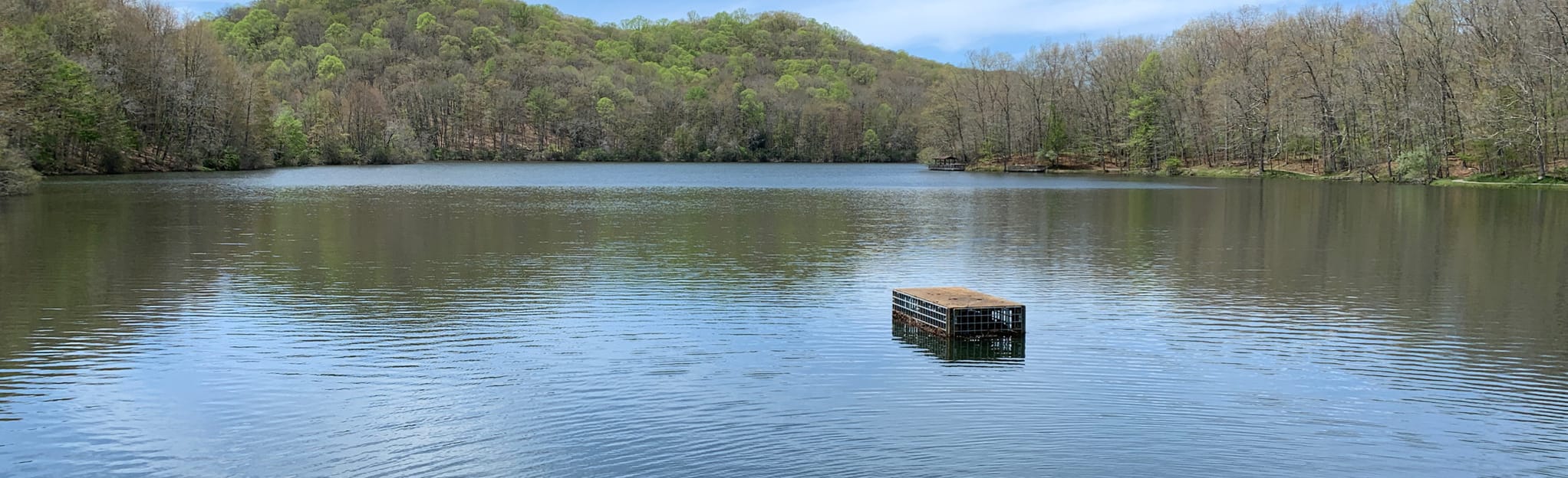 Bark Camp Lake Trail: 25 Reviews, Map - Virginia | AllTrails