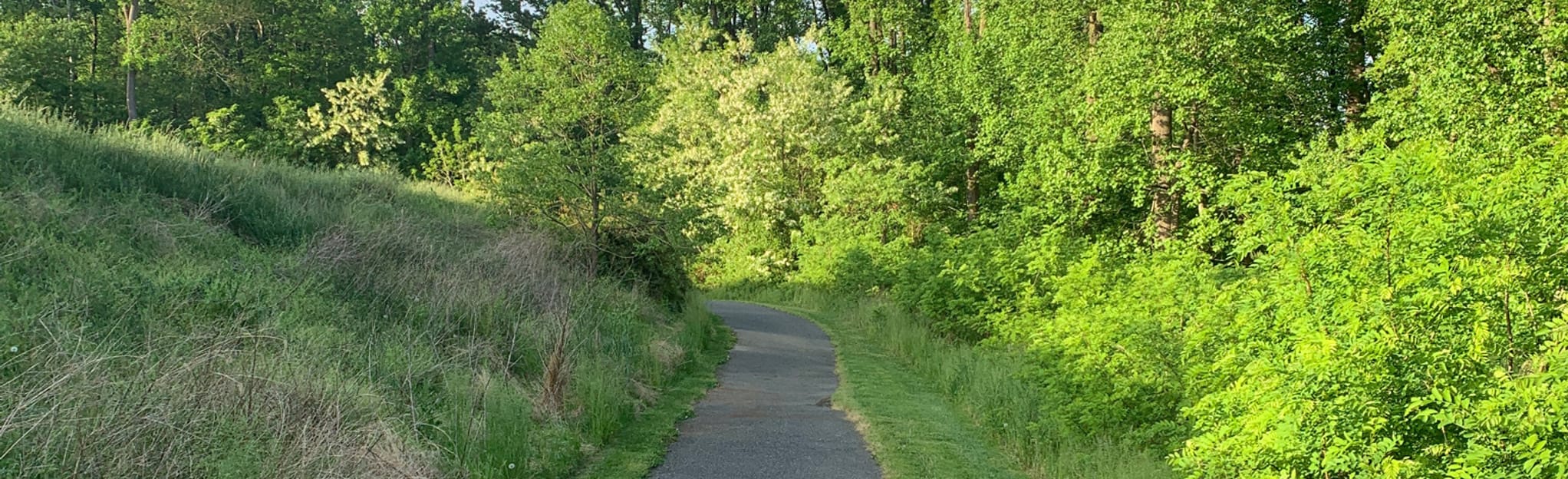 High Ridge Park Loop: 46 Reviews, Map - Maryland | AllTrails