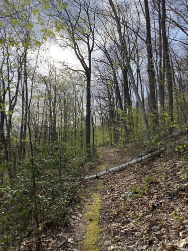 Best Hikes and Trails in Asaph Wild Area | AllTrails