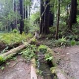 Rohner Park Loop, California - 181 Reviews, Map | AllTrails