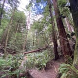 Rohner Park Loop, California - 181 Reviews, Map | AllTrails