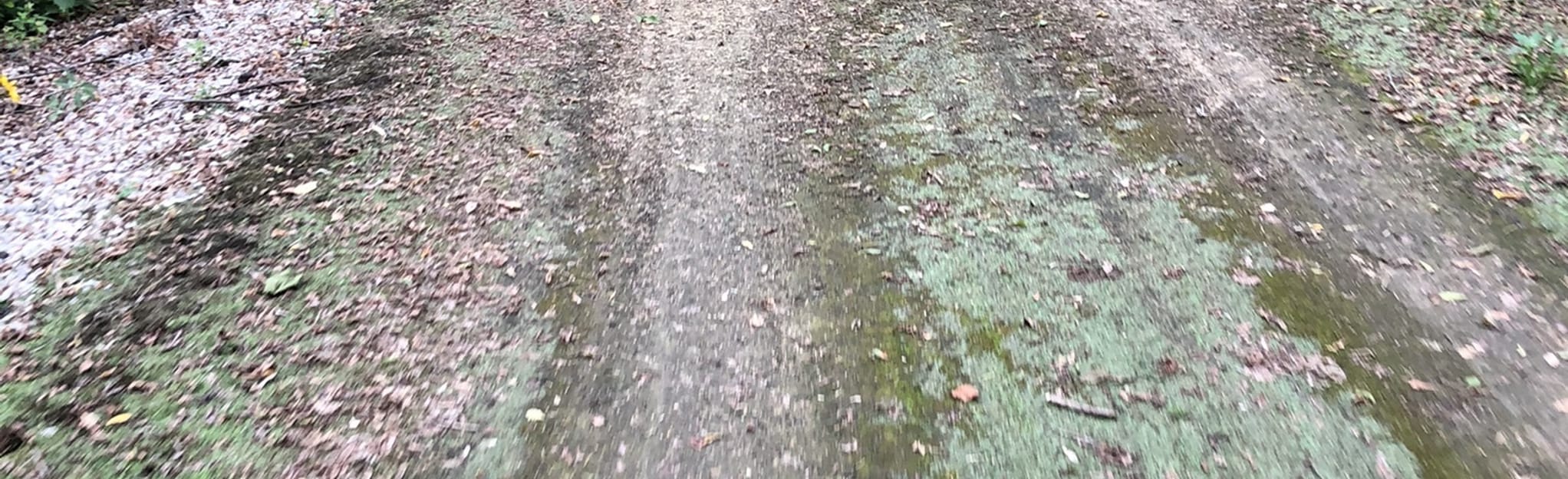 Jane Addams Trail: Orangeville to Buena Vista: 9 Reviews, Map ...