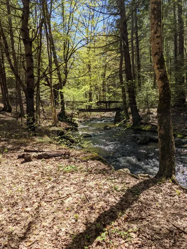 Best Hikes and Trails in Wendell State Forest | AllTrails