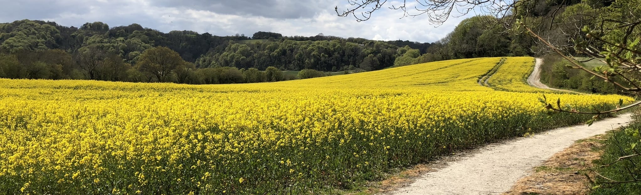 Hangers way: Alton to Hawkley Inn, Hampshire, England - 12 Reviews, Map ...