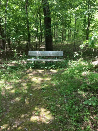 Best Hikes and Trails in Hill Wheatley Park | AllTrails