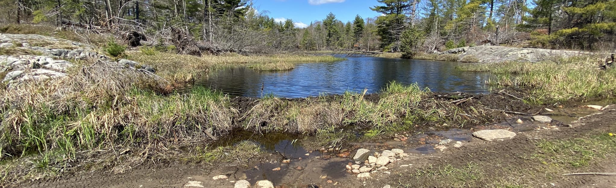 The Gorge Trail: 12 Reviews, Map - Ontario, Canada | AllTrails