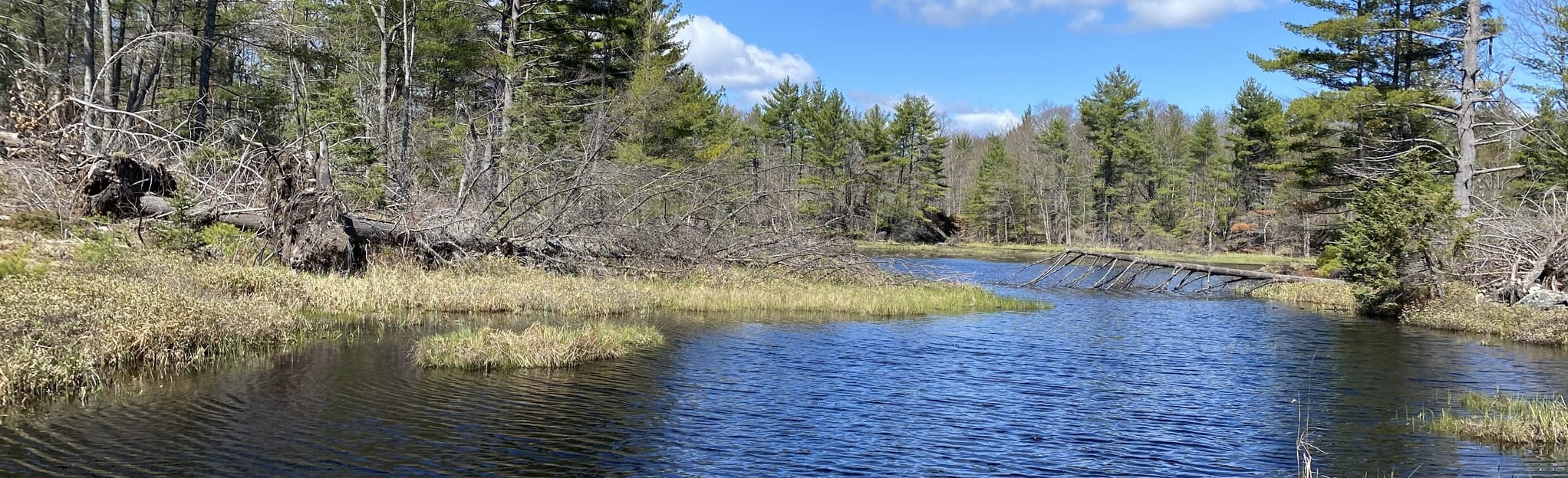 The Gorge Trail, Ontario, Canada - 14 Reviews, Map | AllTrails
