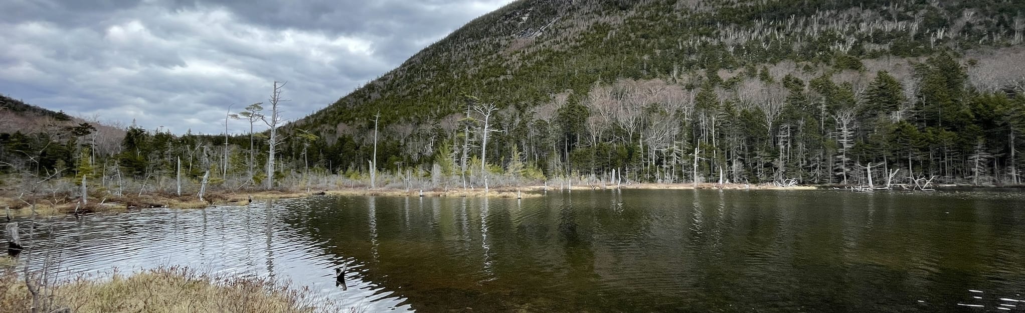 Greeley Ponds Trail via Kancamagus Highway: 90 Reviews, Map - New ...
