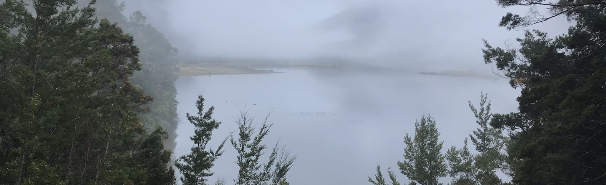 Lake Matiri Hut Track, Nelson-Tasman, New Zealand - 5 Reviews, Map ...