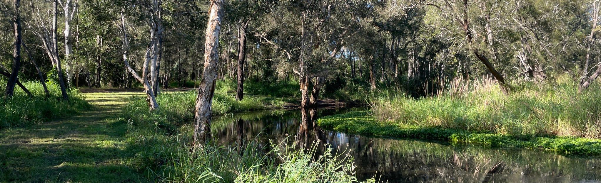 Mookin-Bah Reserve Circuit: 14 Reviews, Map - Queensland, Australia | AllTrails