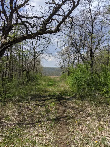 Best Hikes and Trails in Whitewater Wildlife Management Area | AllTrails