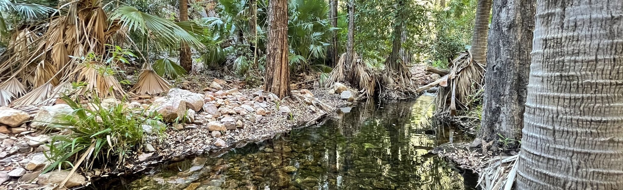 El Questro Gorge to MacMicking Pool, Western Australia, Australia - 31 ...